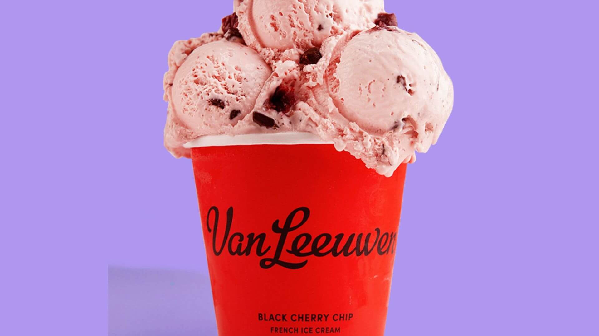Van Leeuwen Ice Cream Shop Yonkers, NY | Ridge Hill